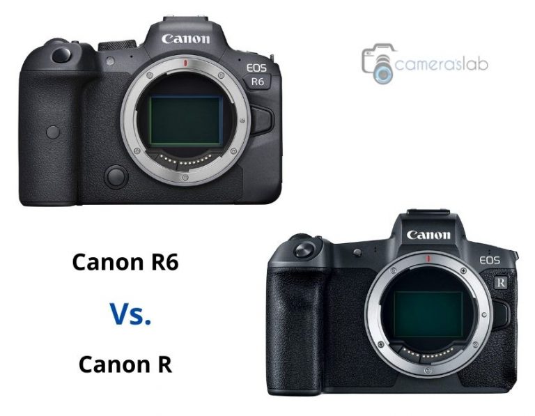 Canon R6 vs R - See Why Canon R6 is the Best Mirrorless Camera!