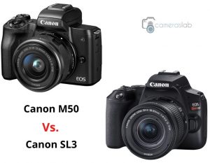 Canon R6 vs R - See Why Canon R6 is the Best Mirrorless Camera!