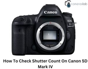 How To Check Shutter Count On Canon 5D Mark IV
