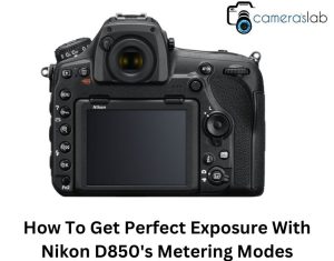 How To Get Perfect Exposure With Nikon D850's Metering Modes