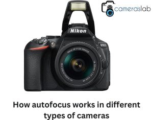 How autofocus works in different types of cameras