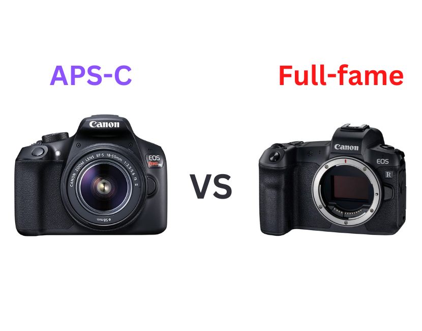 What Does Full Frame Camera Mean 