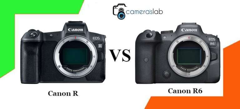 Canon R6 vs R - See Why Canon R6 is the Best Mirrorless Camera!